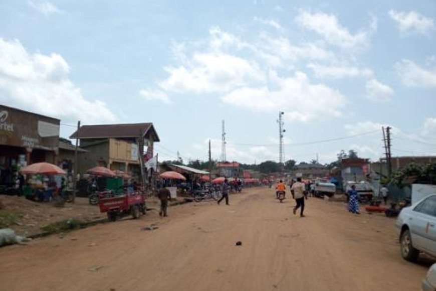 Ituri : Les agriculteurs de l'axe Komanda-Luna tracassés par l ...