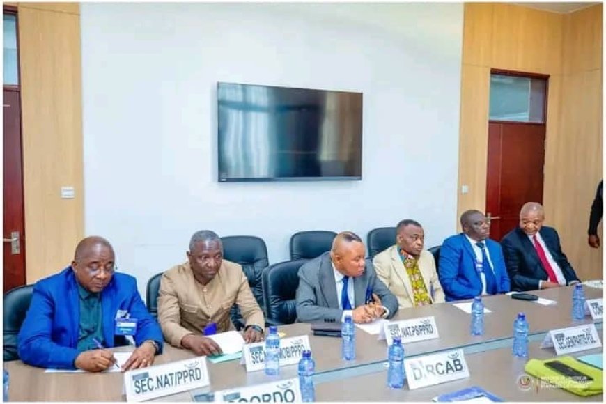 RDC : Le PPRD sommé de respecter strictement la loi sur les partis ...